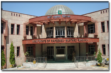 DRMR Publication Information system